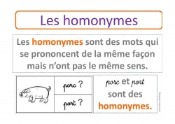 Les homonymes CE2 - Le jardin d'Alysse